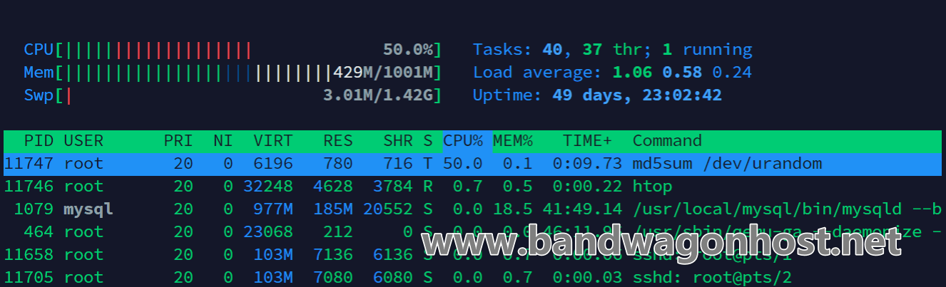 搬瓦工 VPS 使用 CPULimit 来限制 Linux 进程的 CPU 使用率教程 - Bandwagonhost中文网-Bandwagonhost中文网