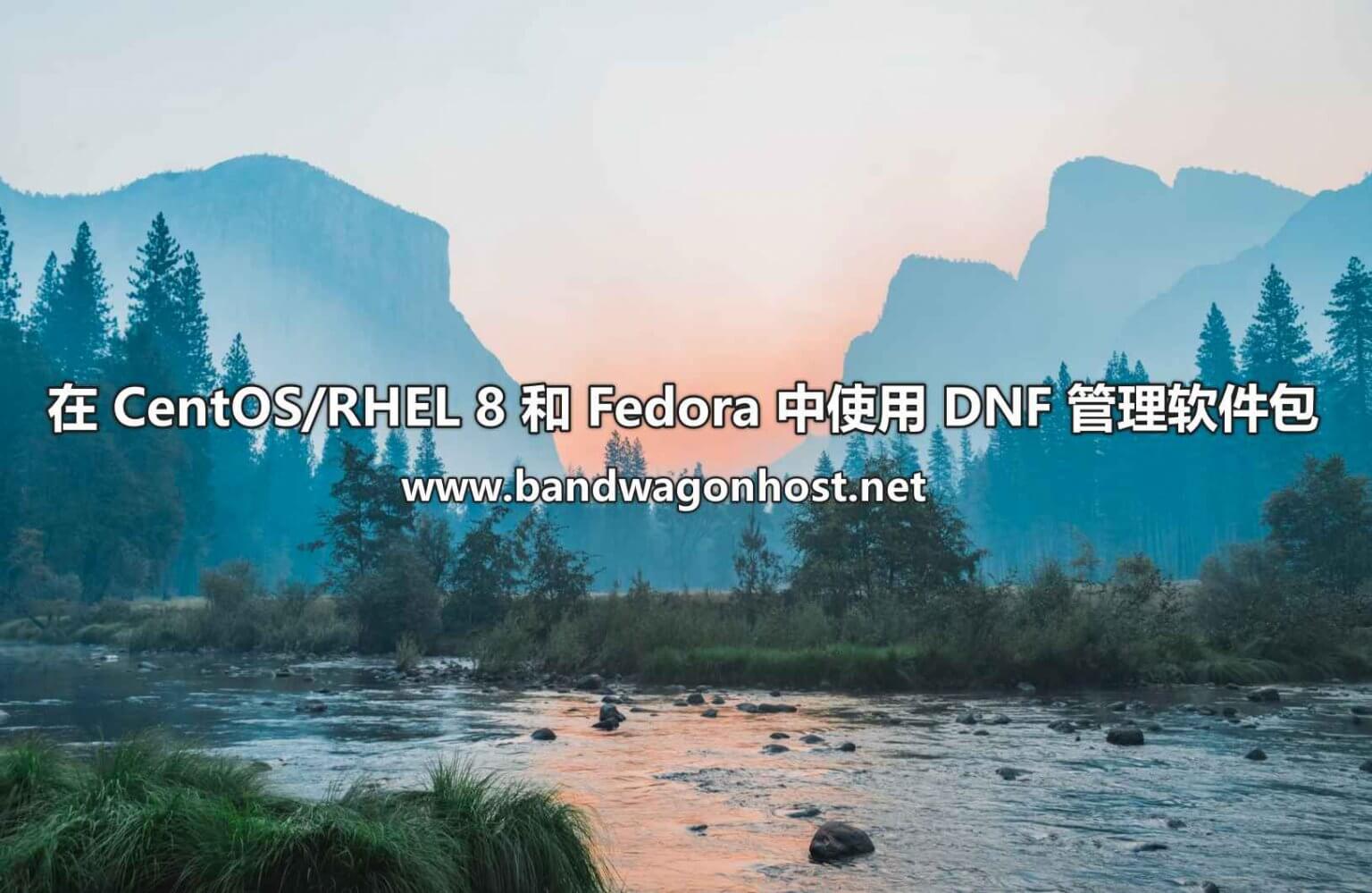 在 CentOS/RHEL 8 和 Fedora 中使用 DNF 管理软件包 - Bandwagonhost中文网-Bandwagonhost中文网
