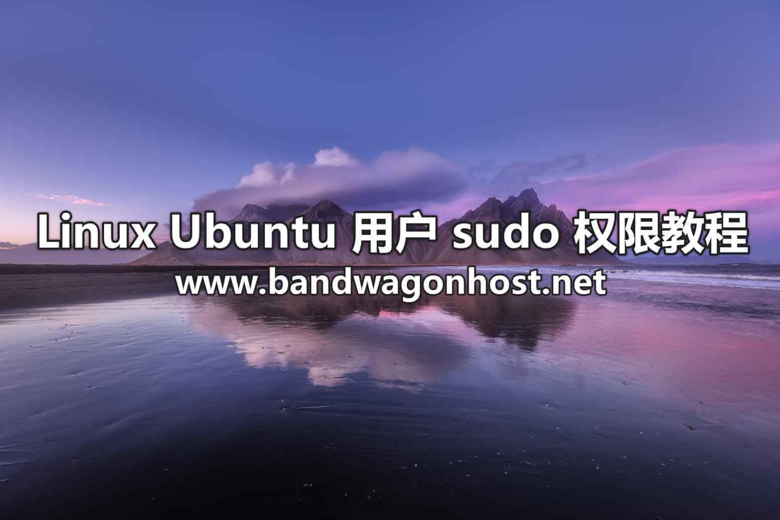 如何在 Linux Ubuntu 中添加和删除用户的 sudo 权限 - Bandwagonhost中文网-Bandwagonhost中文网