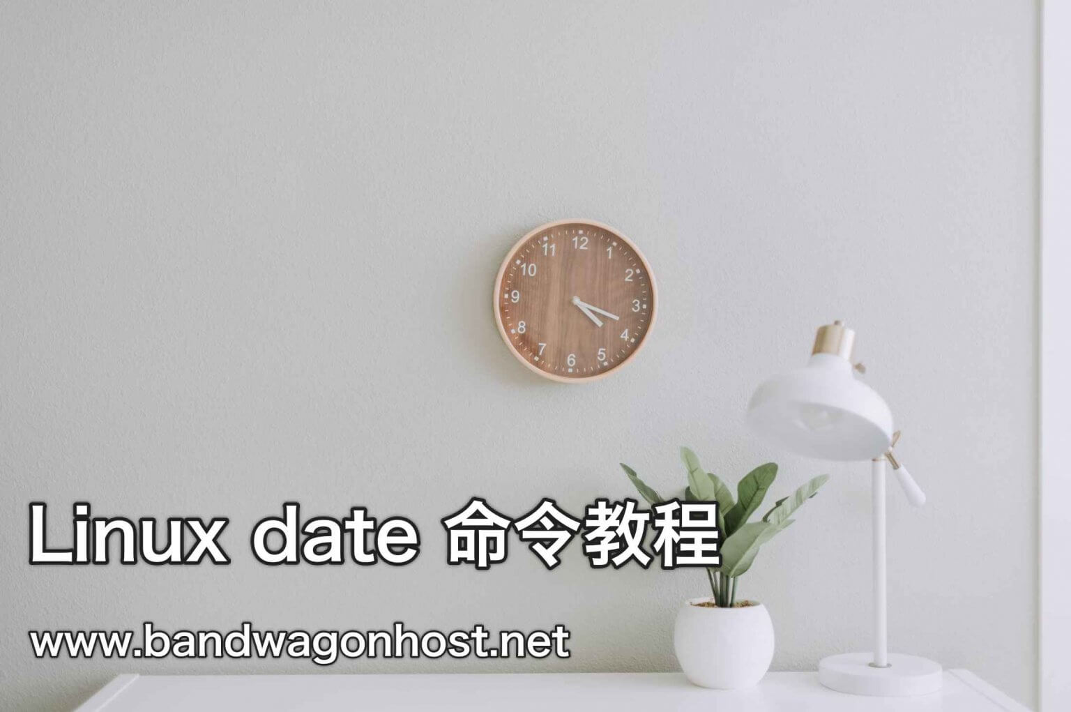 Linux date 命令教程：显示不同日期格式/设置系统时间等 - Bandwagonhost中文网-Bandwagonhost中文网