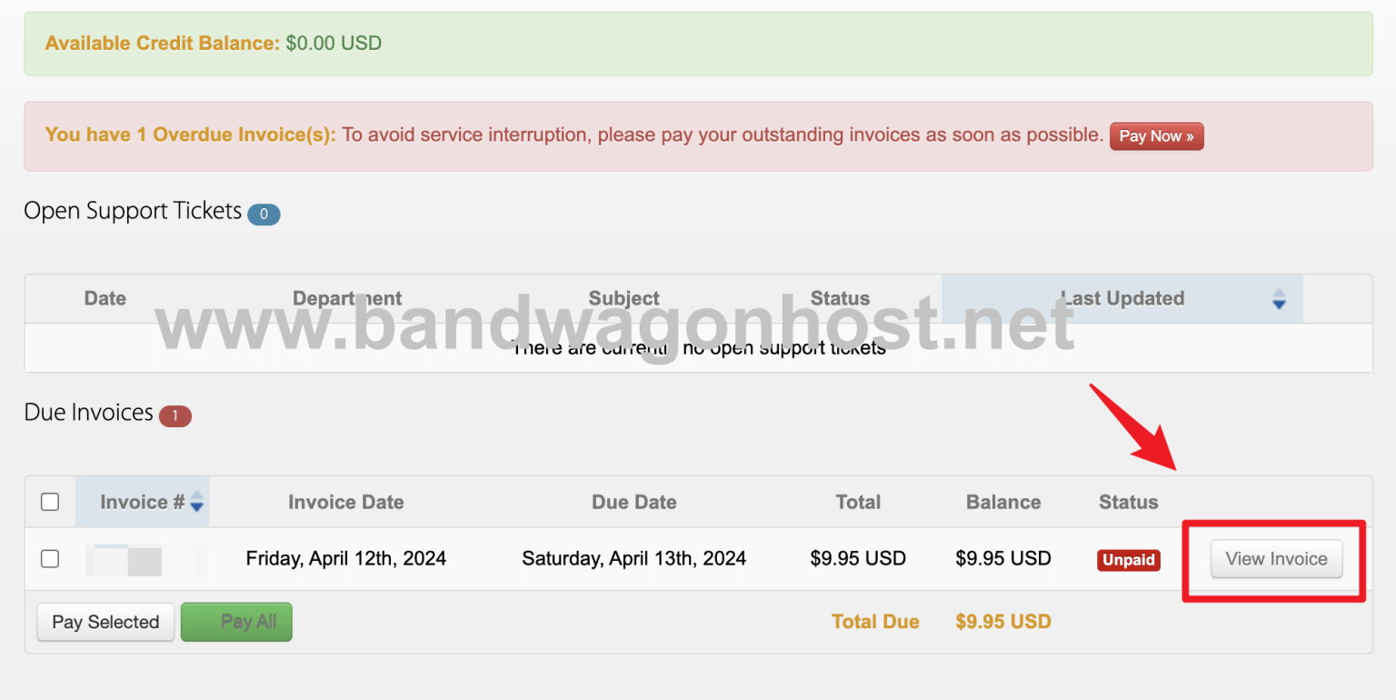 2024 最新搬瓦工续费教程：图文详细完整版，支付宝/银联续费 - Bandwagonhost中文网-Bandwagonhost中文网