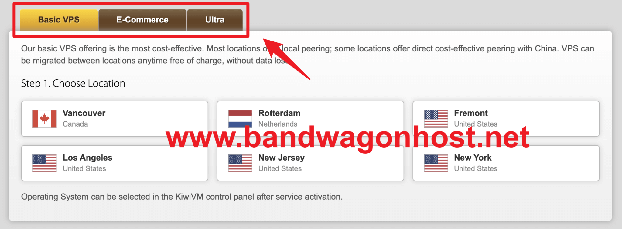 搬瓦工不同套餐介绍和区别：Basic VPS、E-Commerce、Ultra - Bandwagonhost中文网-Bandwagonhost中文网